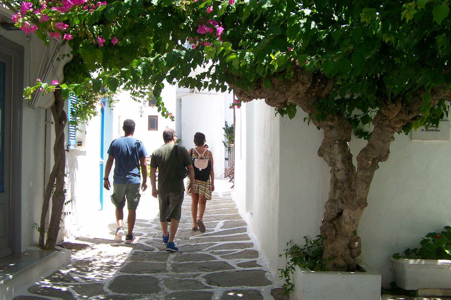 Athens to Paros Ferry – Timetables, Ports, Prices & Travel Tips